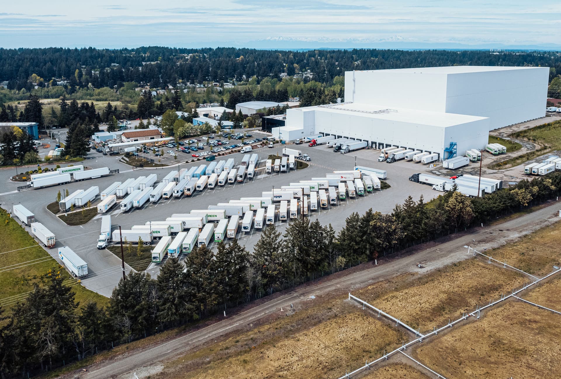 Advanced Logistics - NewCold