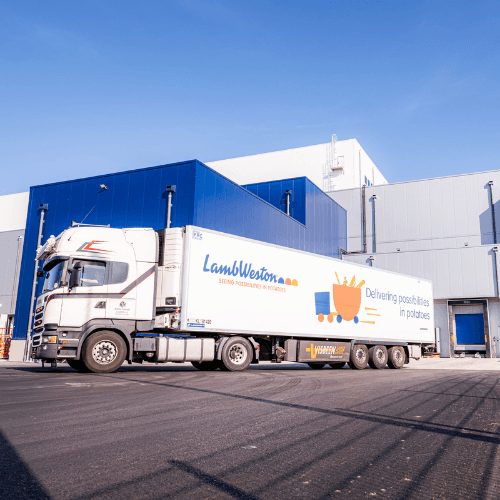 Dinteloord - NewCold